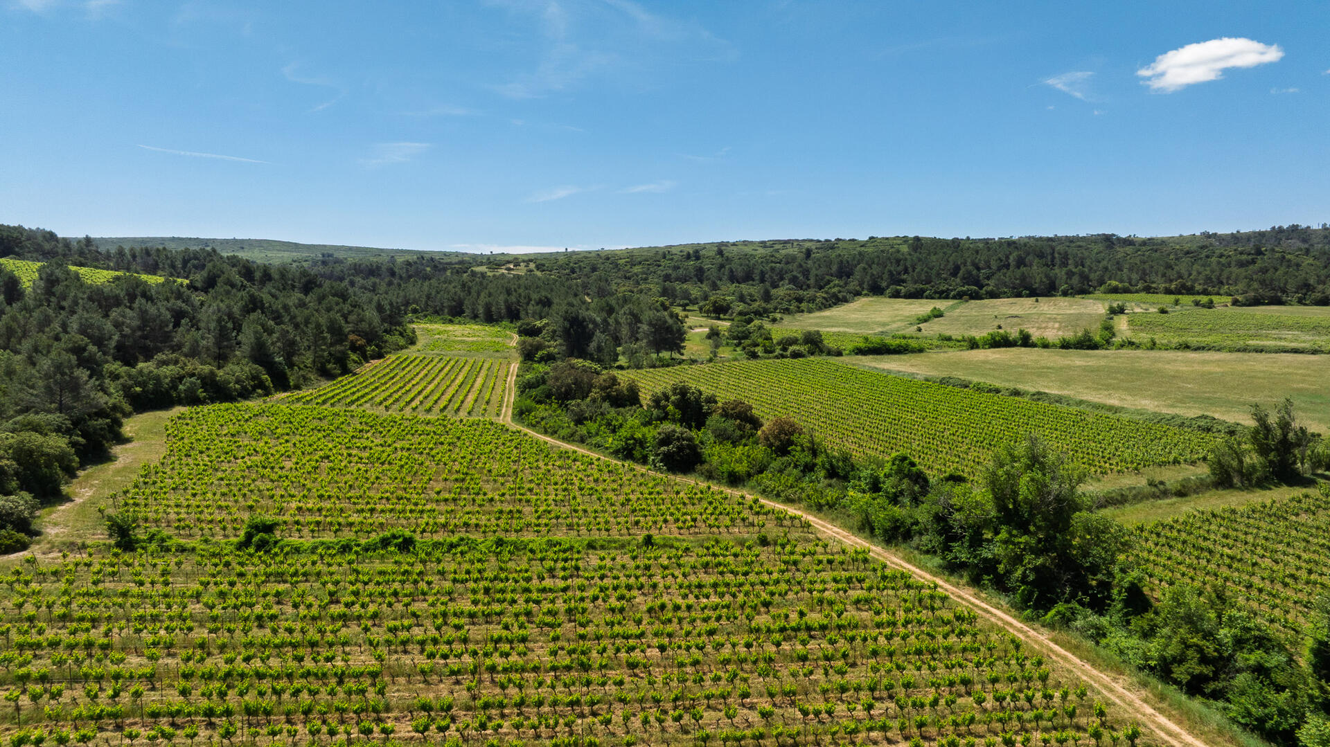 Hérault Irrigation 2018-2030 - Site du Département de l'Hérault